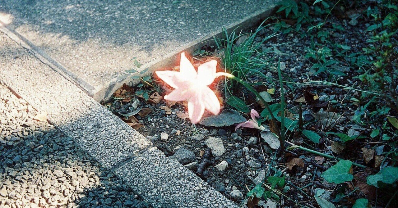 愛おしい人｜𝑚𝑖𝑢｜note