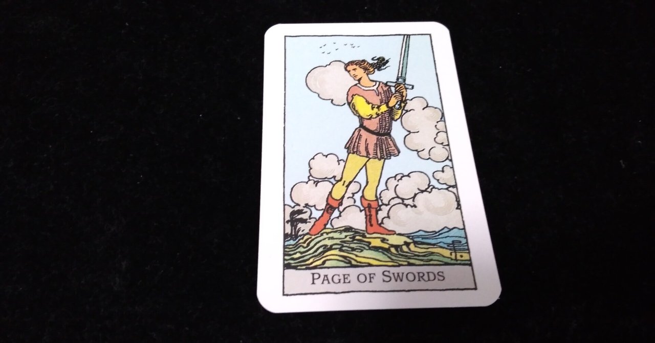 My Tarot Diary 🎵｜ミリーナマルモ｜note