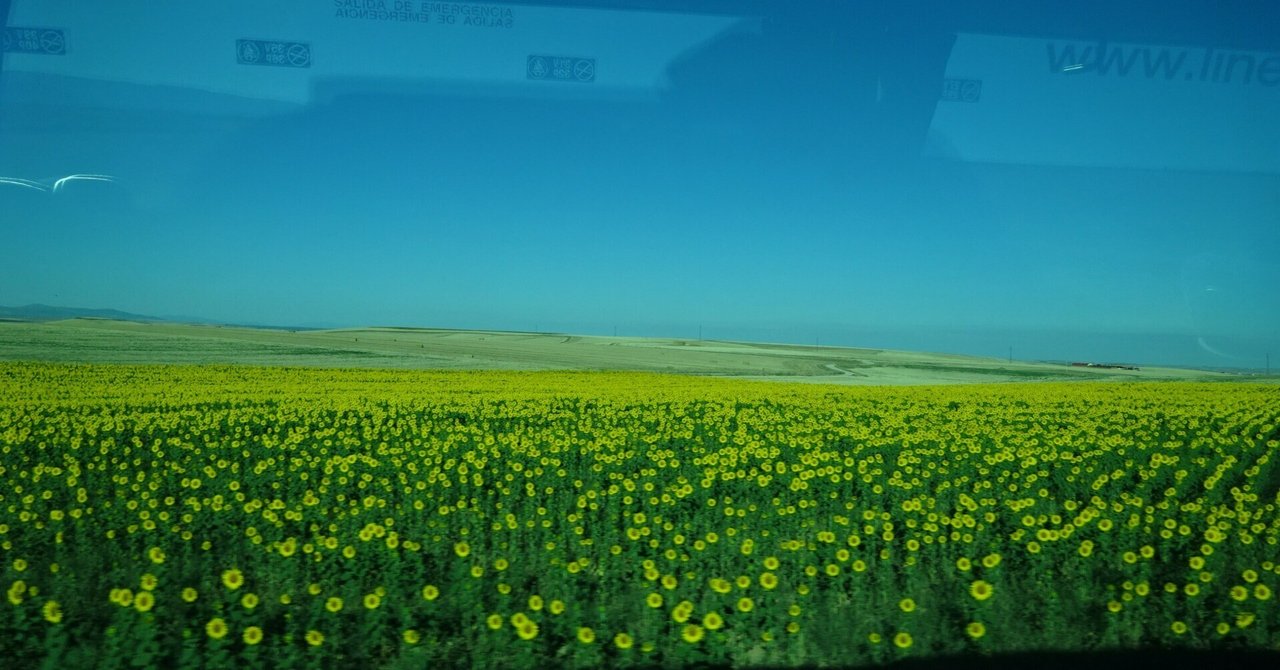 四度目のスペイン（5）バジャドリッド｜mitaka_i