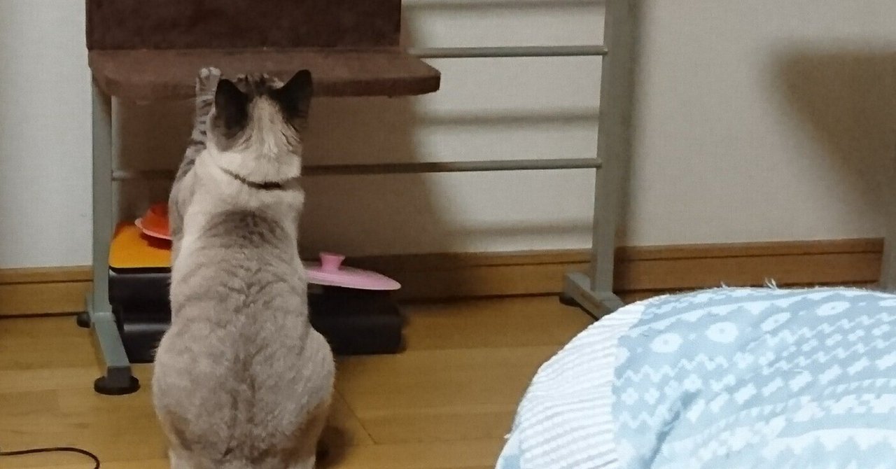 奇跡講座WB実践143 復習125、126｜(Linp&Ruru)本当の自分を知り、本当の自分として生きる