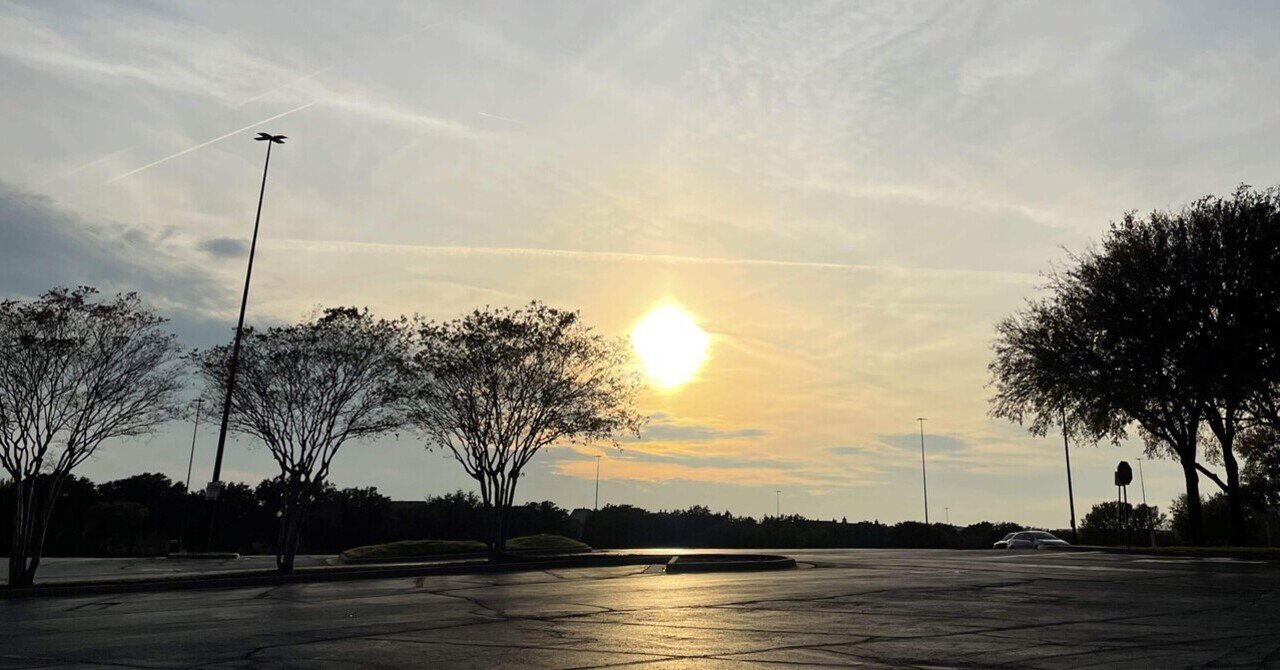 強いひと｜Florist Kana｜note