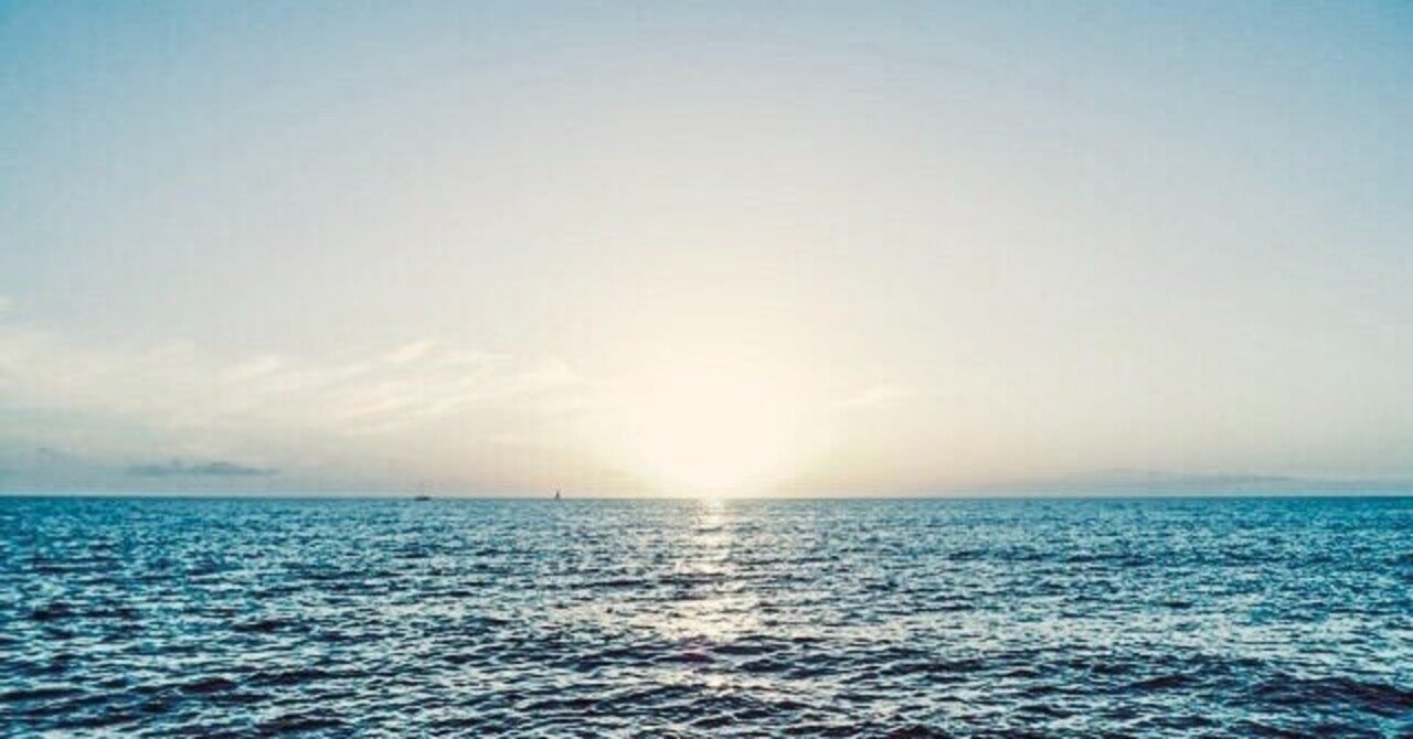 11月のトビウオ｜maco｜note