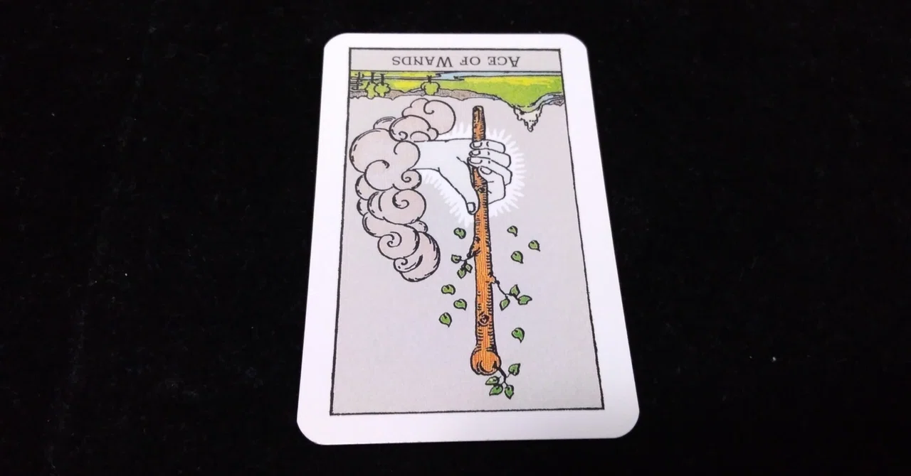 My Tarot Diary 🍂｜ミリーナマルモ｜note