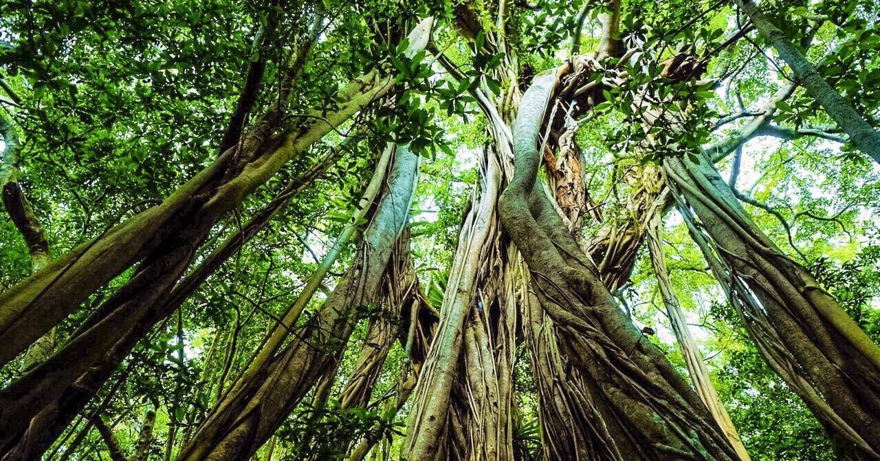 お金を使わなくても幸せに暮らしている人の特徴☝️｜MIHOKO｜note