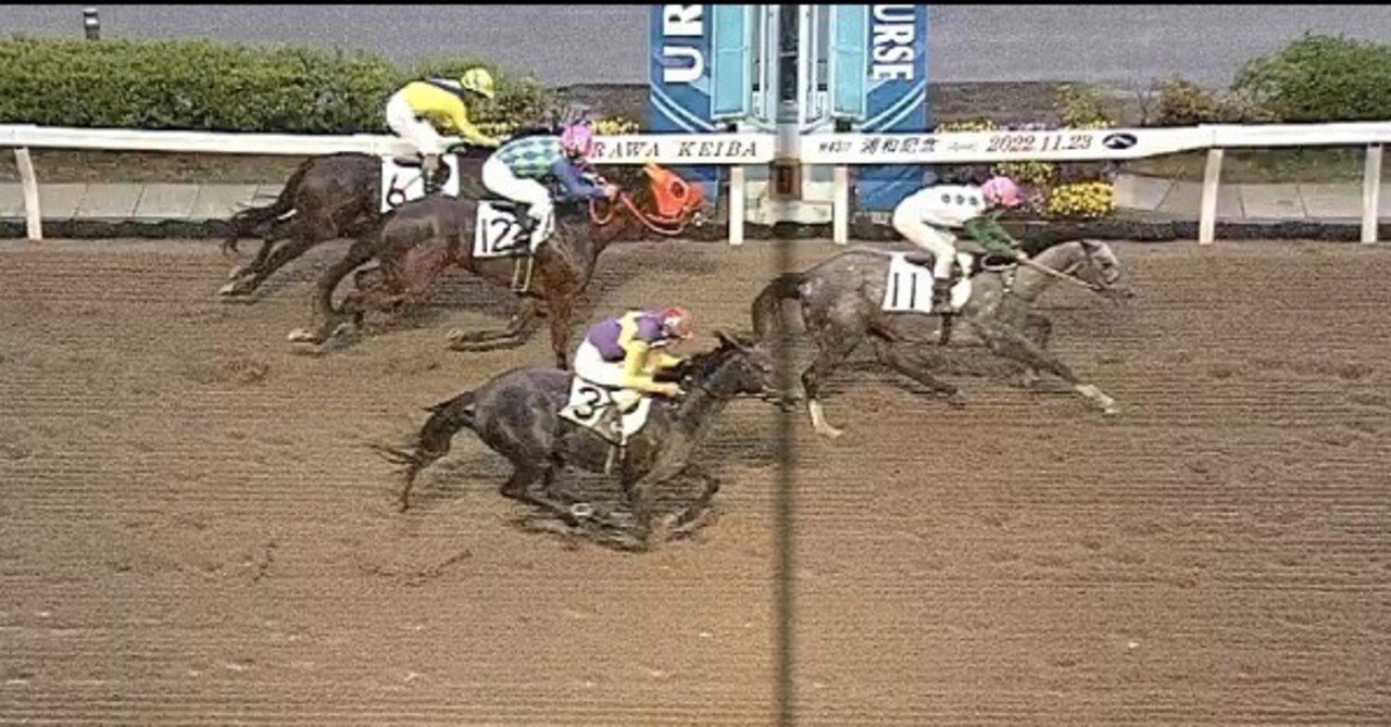 浦和10R 浦和記念｜おしたん｜note