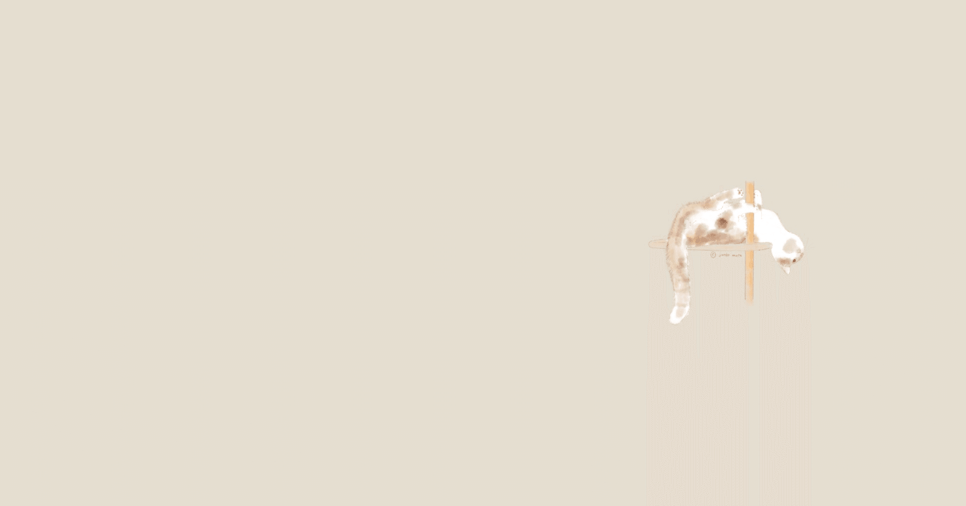 junko・studio tail｜note