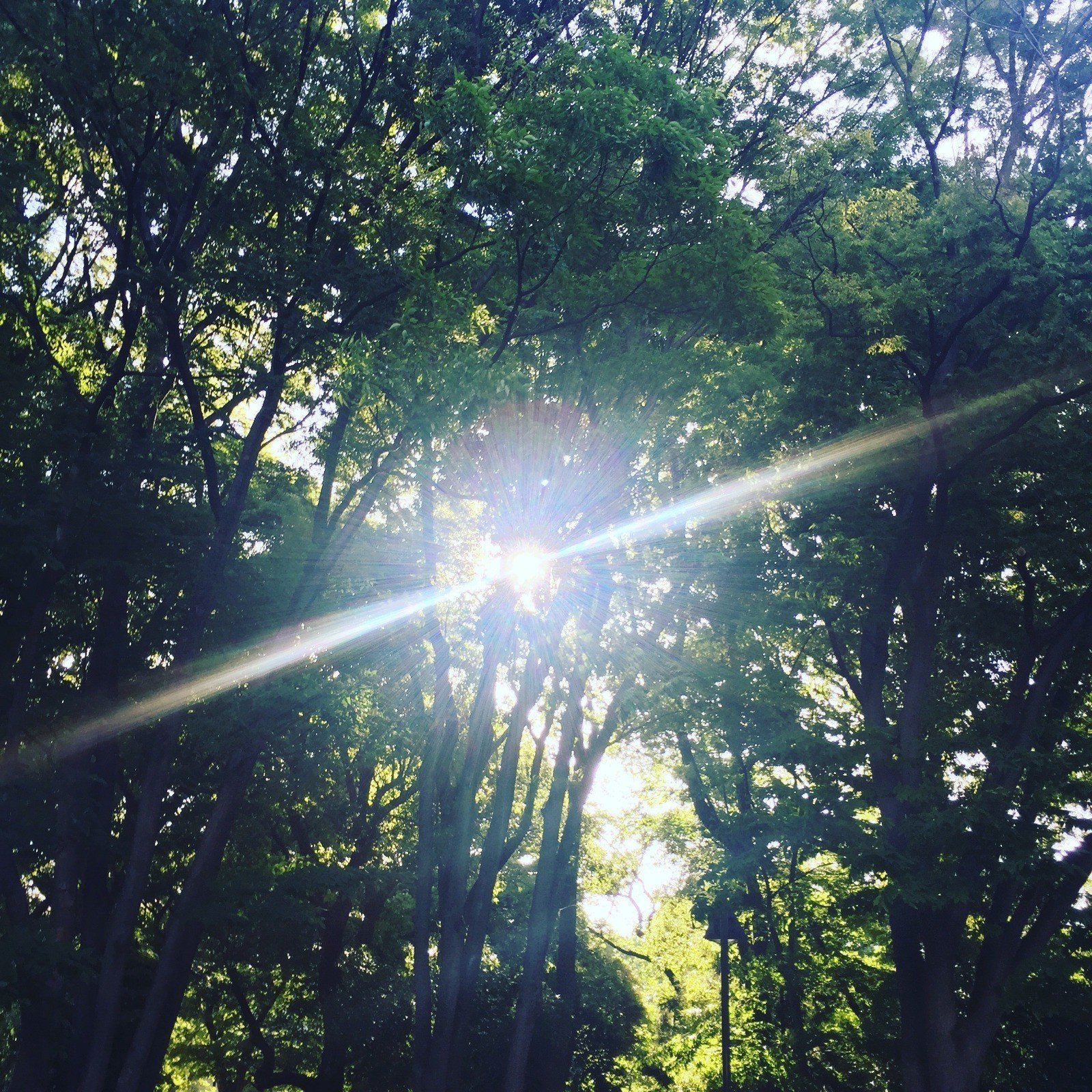 ワキマル・ジュンイチ（Junichi Wakimaru）｜note