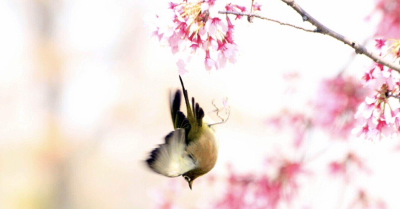 〈連載小説〉ゲートキーパー（11）｜Hiroto Tsukada｜note