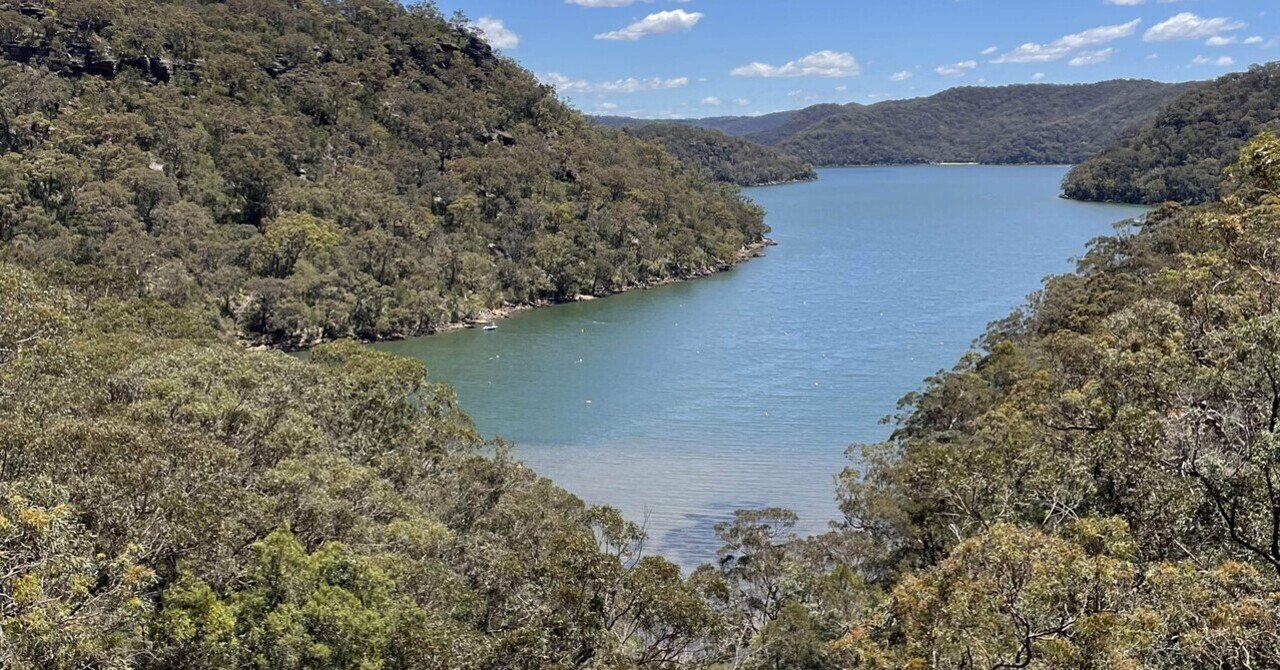 本当の幸せ探し｜MAYUKO
