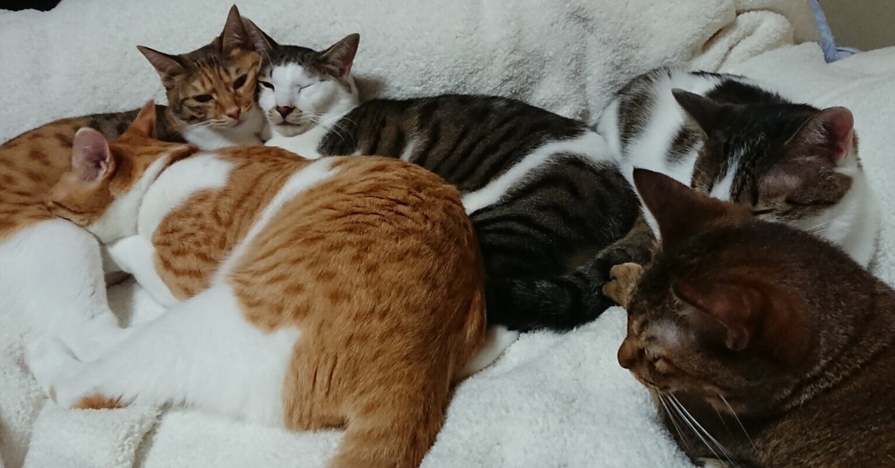 奇跡講座WB実践144 復習127、128｜(Linp&Ruru)本当の自分を知り、本当の自分として生きる