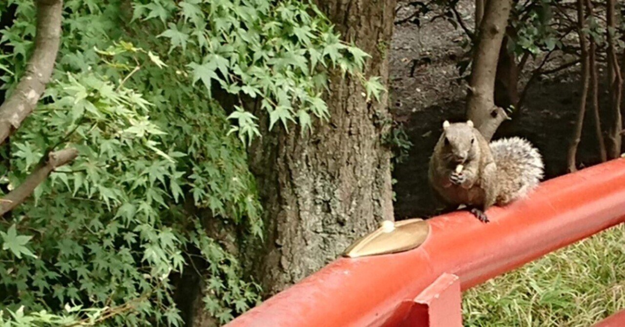 奇跡講座WB実践145 復習129、130｜(Linp&Ruru)本当の自分を知り、本当の自分として生きる