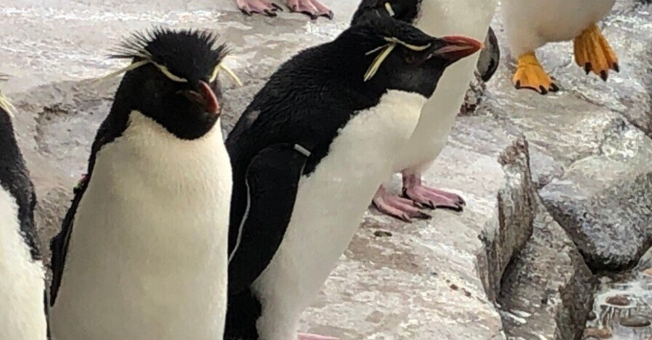 瞬間未来日記20221125｜Kazuhiro Ikeda｜note