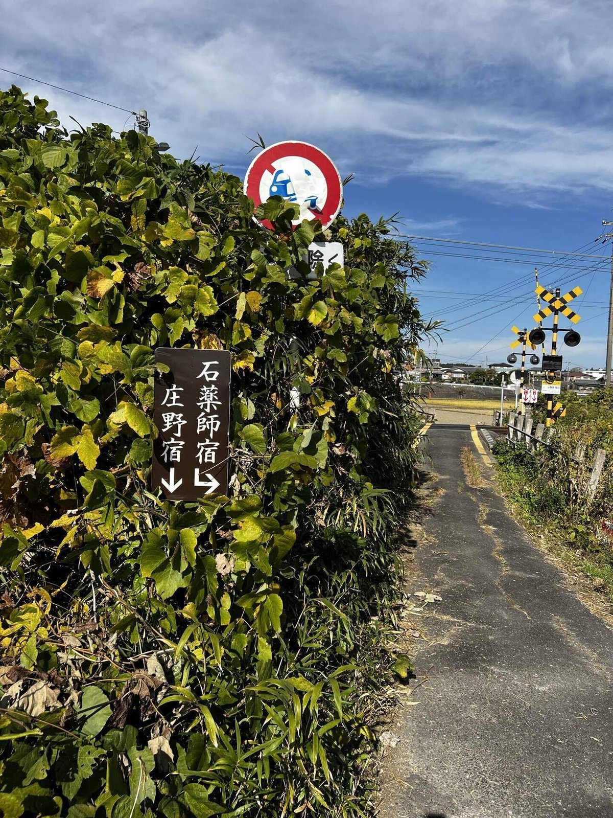 【てくてく東海道】石薬師宿－庄野宿－亀山宿編｜かりめろ
