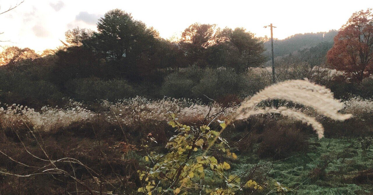 冬の訪れ｜qoo｜note