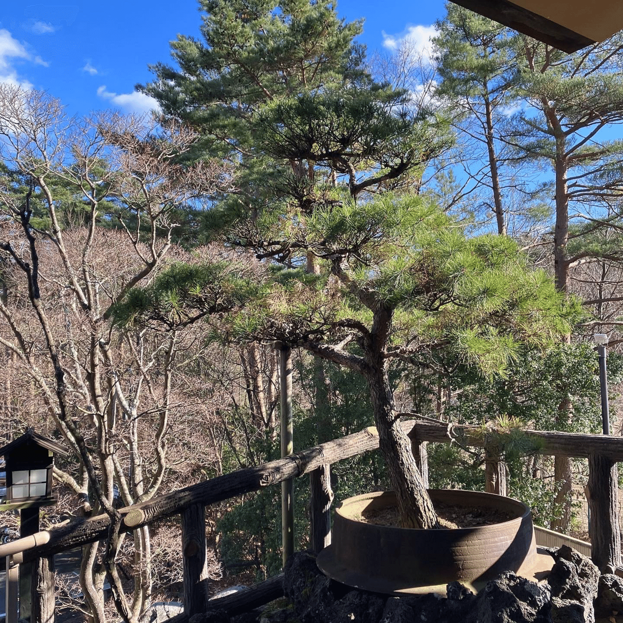 20221125 富士眺望の湯 ゆらり にて。｜sho