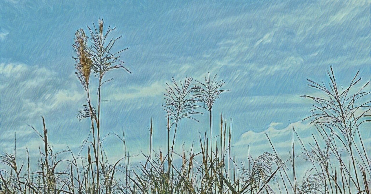 20221125｜たつきち