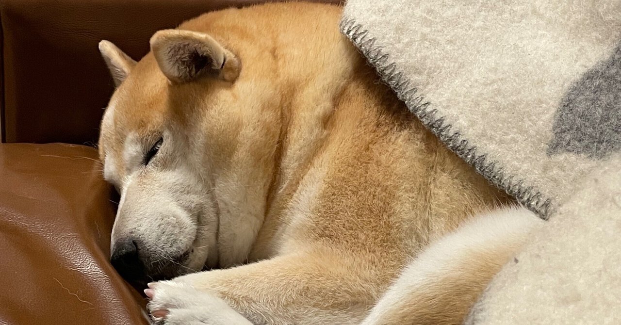 やっと元気になってきた。。。｜Kana_days