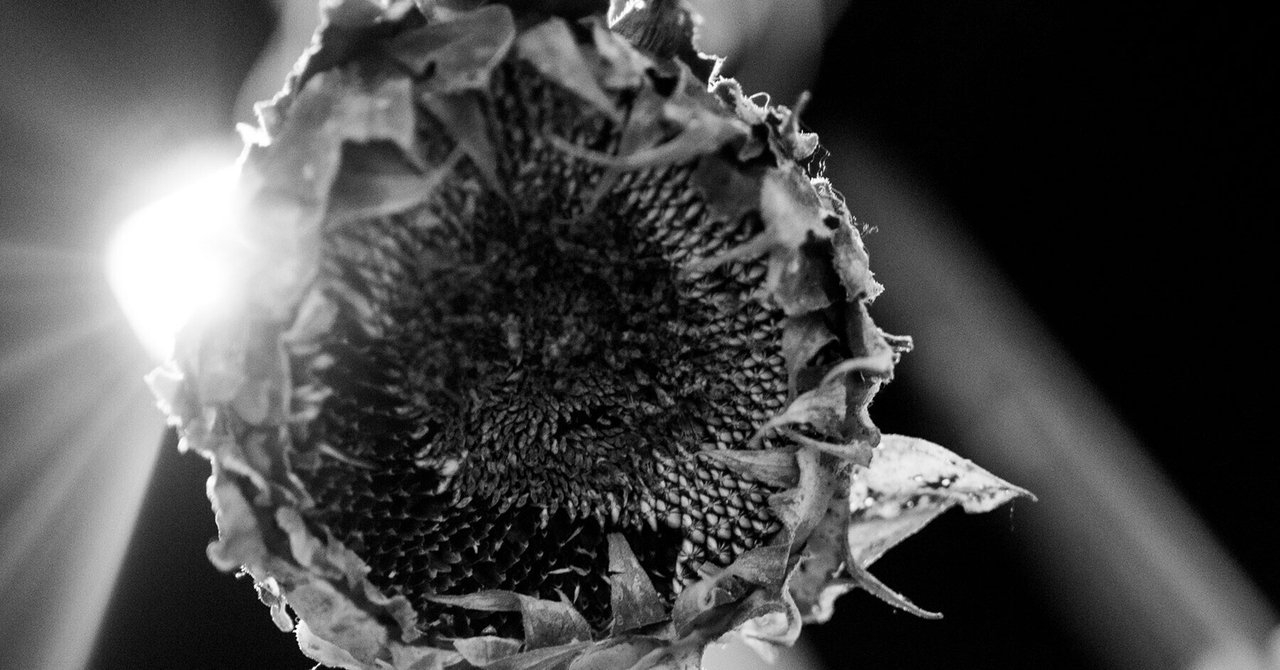 なんですけどみたいな：Anizine｜ワタナベアニ｜note