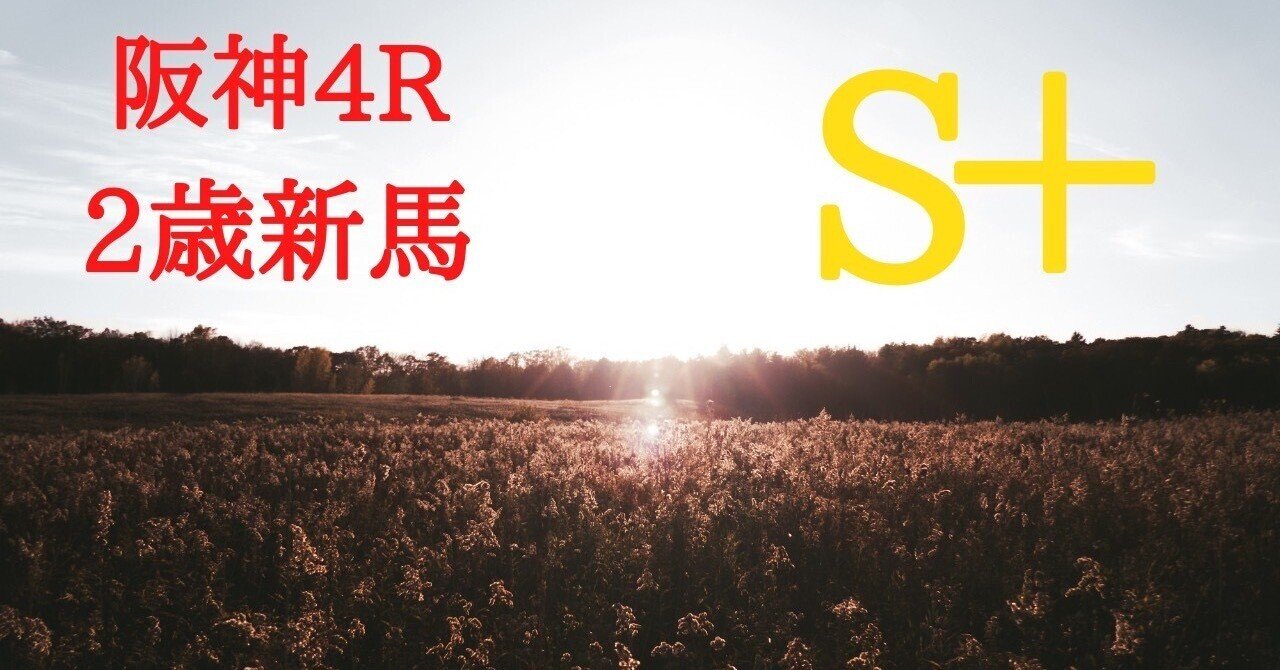 11/27 阪神4R 2歳新馬【S＋】本命＋見解付※再販売｜ビクトリーマン｜note