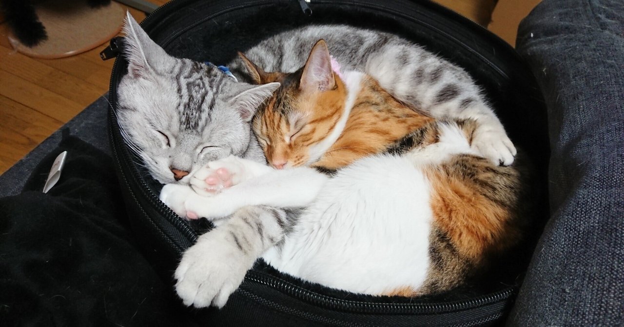 奇跡講座WB実践147 復習133、134｜(Linp&Ruru)本当の自分を知り、本当の自分として生きる｜note