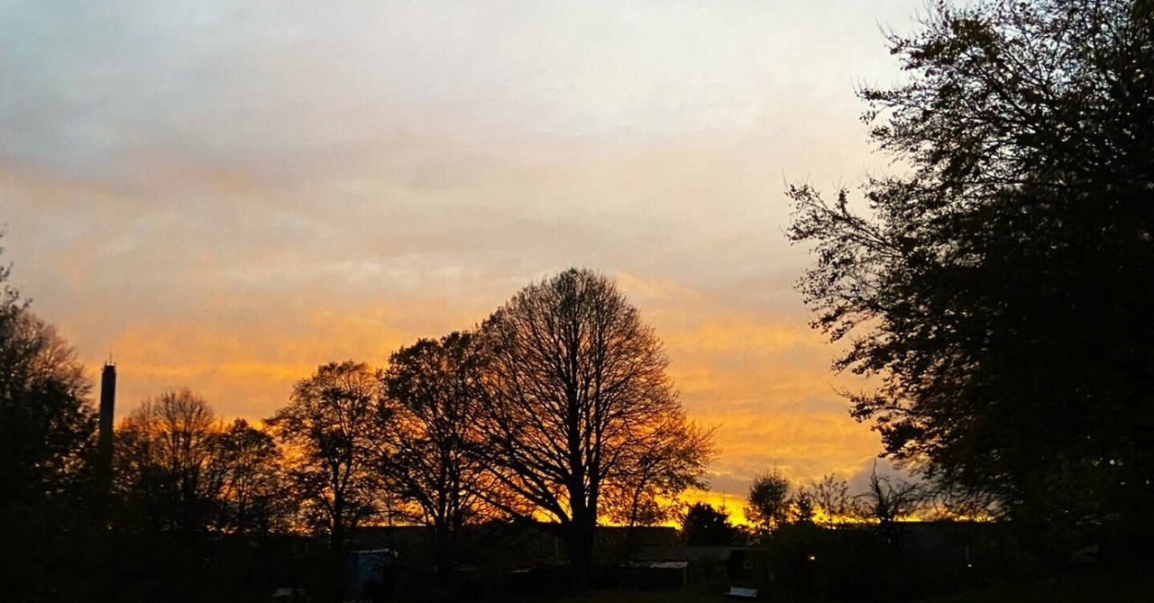 【デンマーク留学⑪】 Tsunamiについてプレゼンしてみた話。｜Ryo｜note