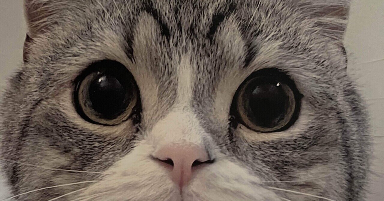 Mochimaru sama｜A-KING_