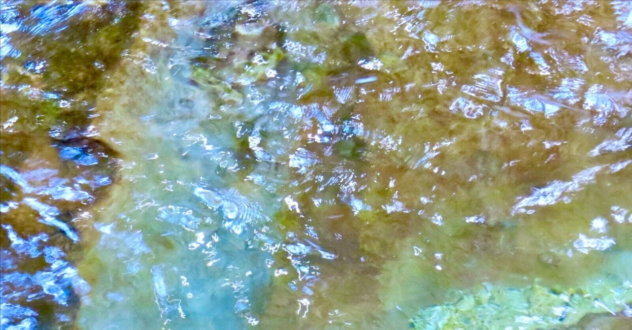 たましいの ふるえるとき｜KAZE｜note