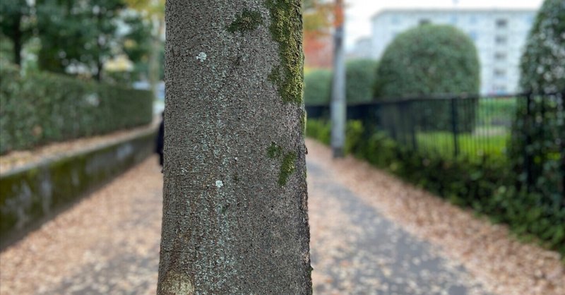 Junji Kajiwara｜note