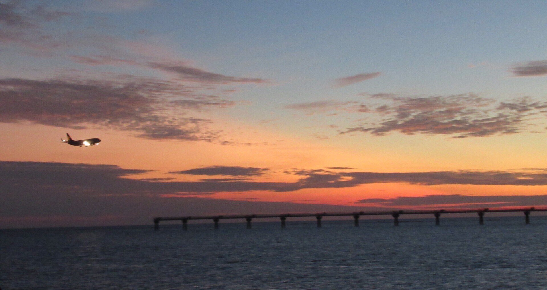 Mohara_beareater｜note