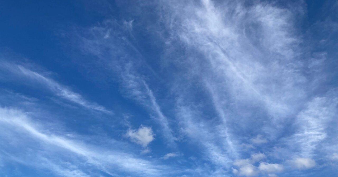 20歳になってみて｜Ryoma｜note