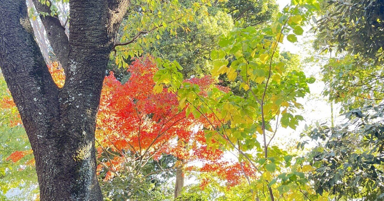 秋だから、なのか｜tete｜note