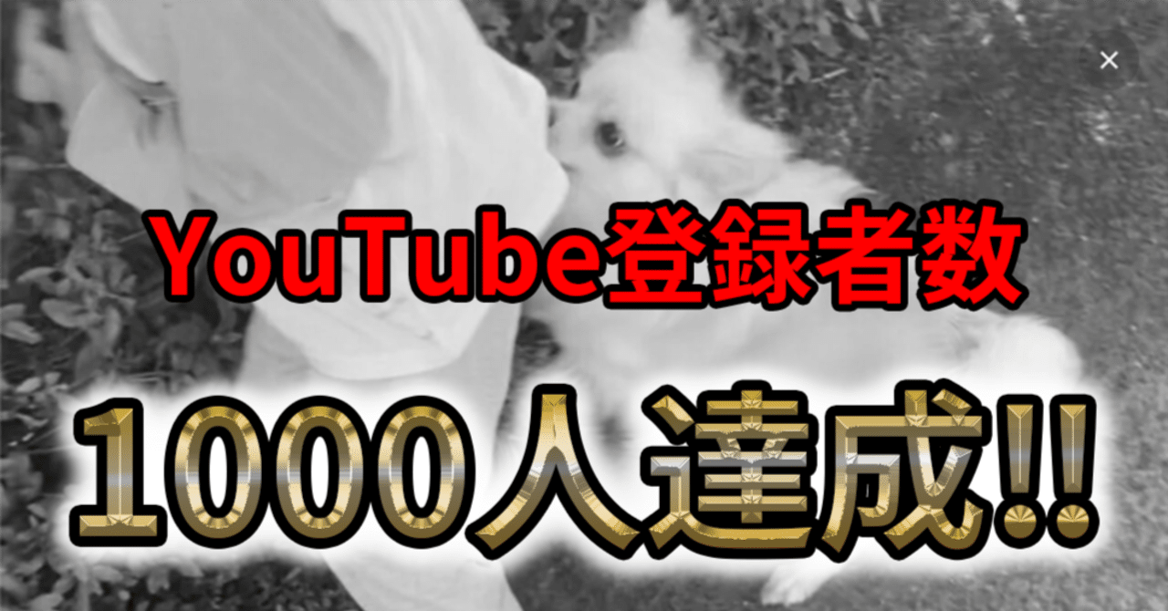 YOUTUBE登録者数1000人達成しました！！｜design aoi｜note