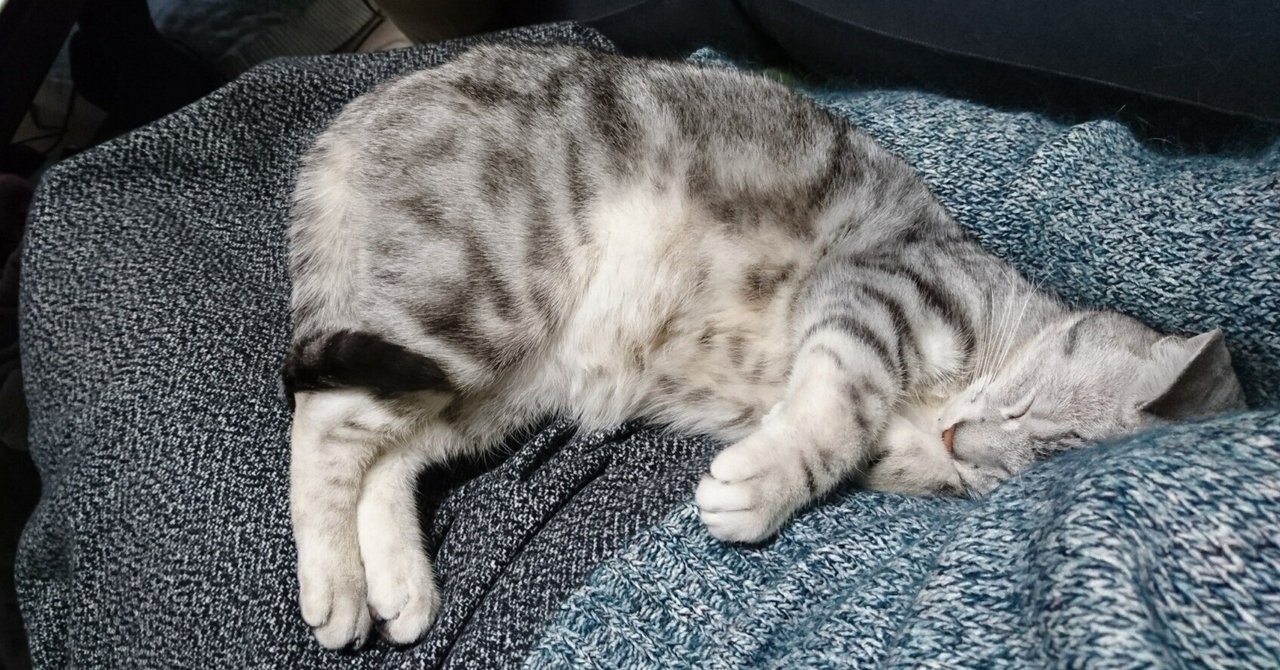 奇跡講座WB実践148 復習135、136｜(Linp&Ruru)本当の自分を知り、本当の自分として生きる