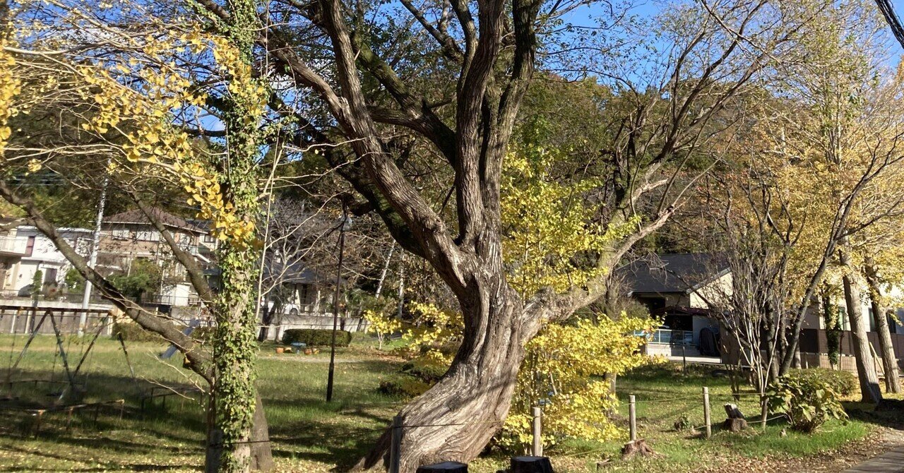 おじさんに騙されたZ世代の街道歩き〜成田街道〜DAY1｜SAITO AYAMI