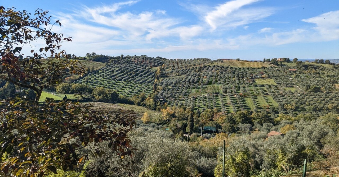 ちょっとしたハプニング｜satoru.pensiero｜note