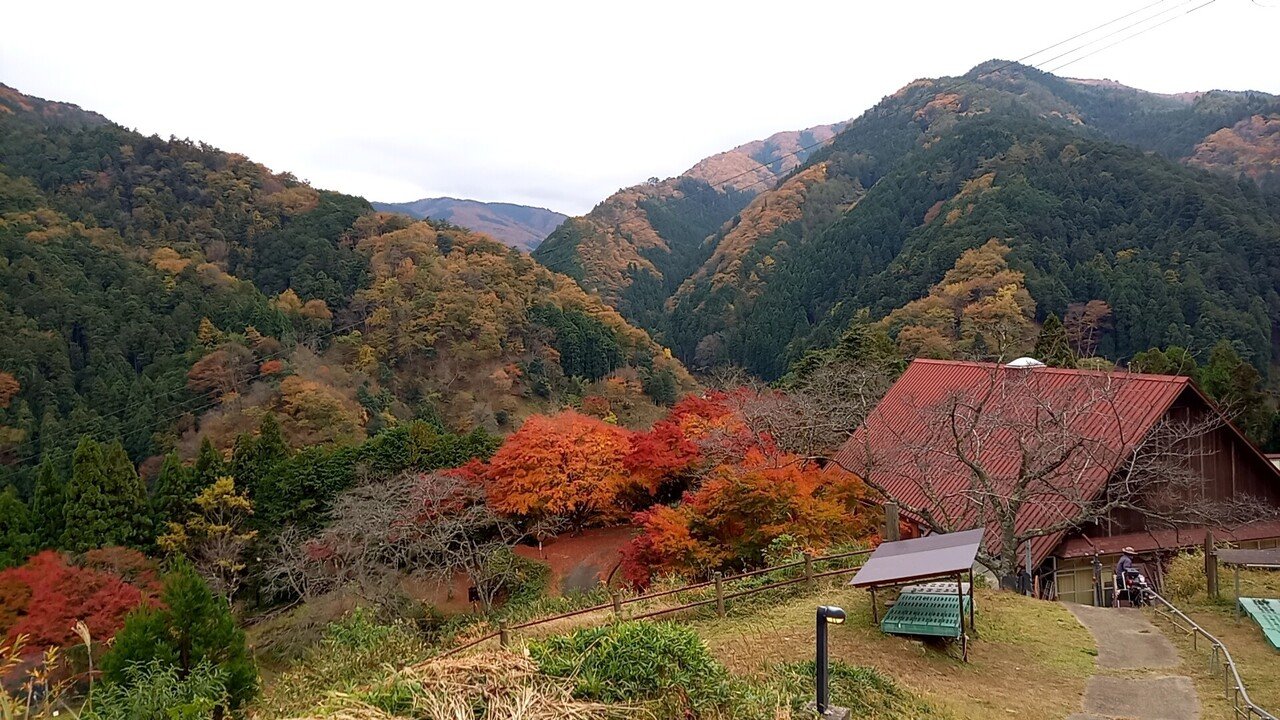 ひとりごと日記20221125｜ZERO｜note