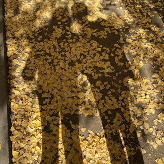 toda_0416の2022年のノート｜note