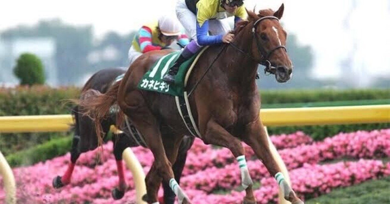 #笠松5R 13:38締切🔥頭固定🔥｜guess｜note