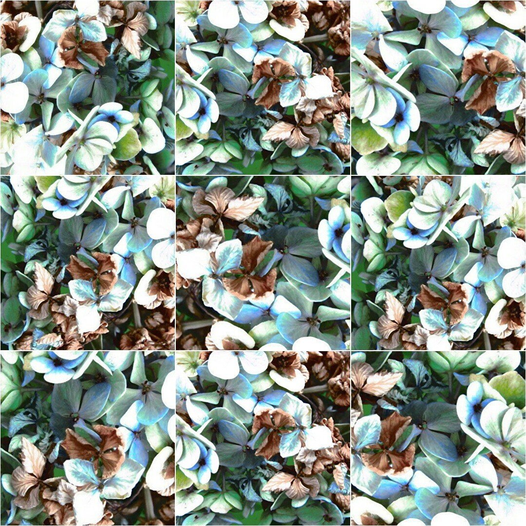 あじさい秋まつり｜ .*˚｜note