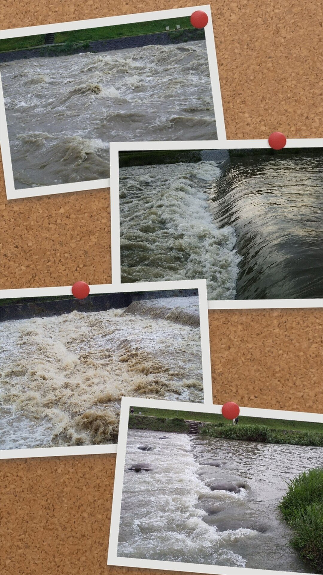 Googleフォトさんからのコラージュ。｜もりのまち みずのうた｜note