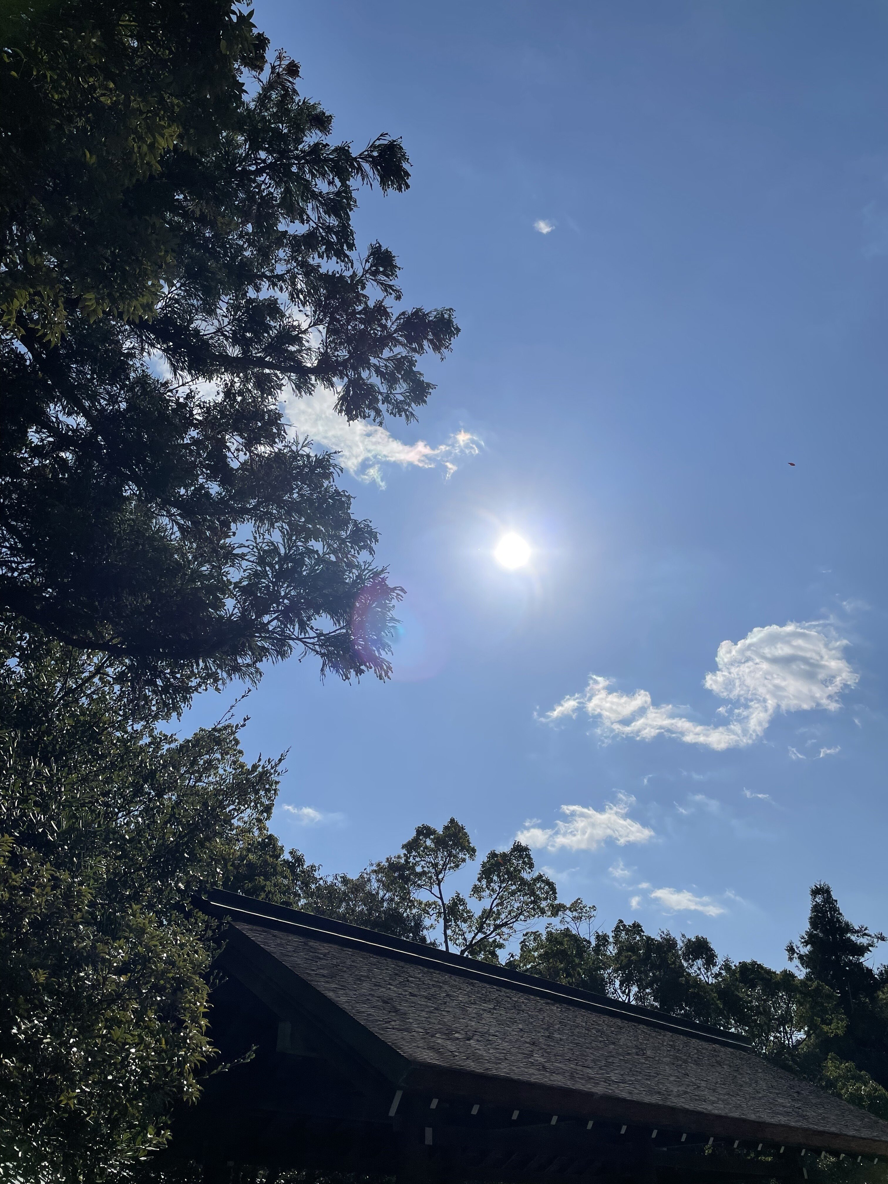 ザ・シークレット」の新着タグ記事一覧｜note ――つくる、つながる、とどける。