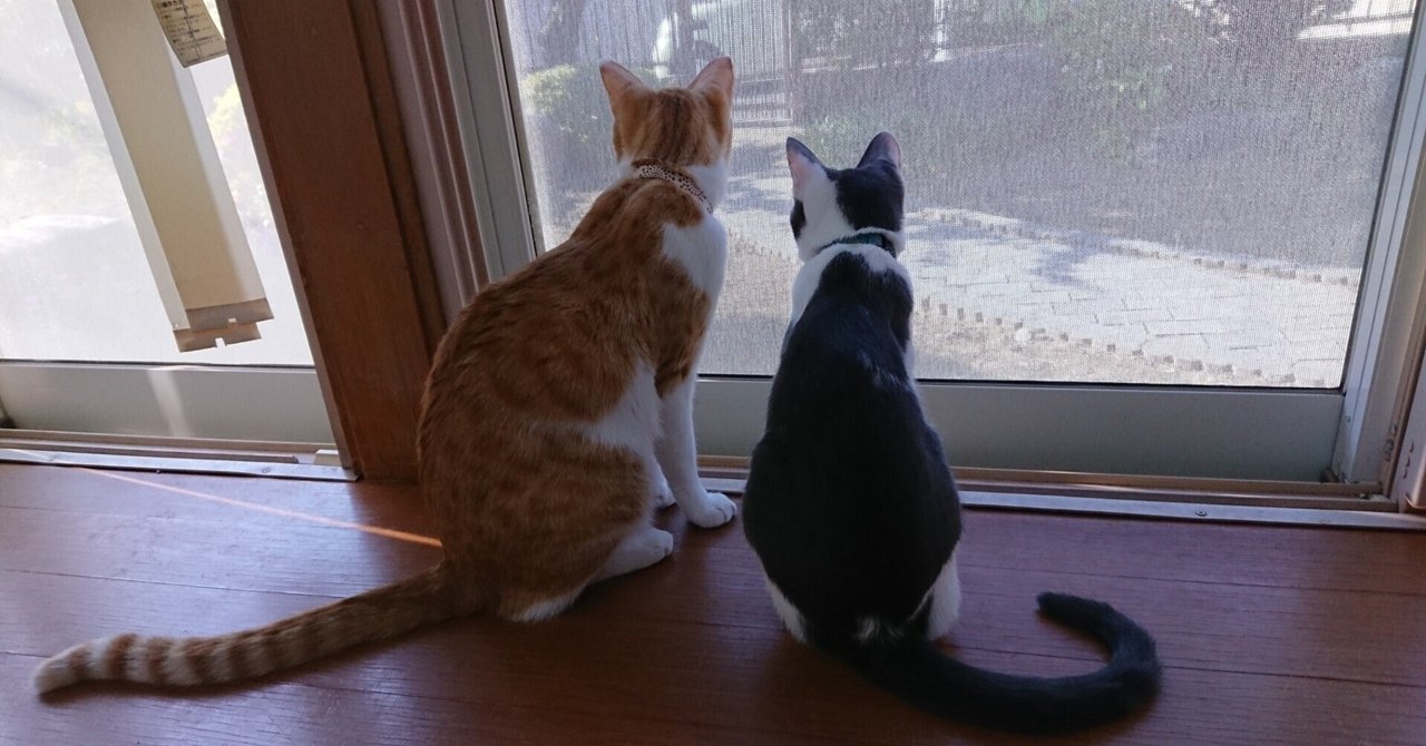 奇跡講座WB実践149 復習137、138｜(Linp&Ruru)本当の自分を知り、本当の自分として生きる｜note