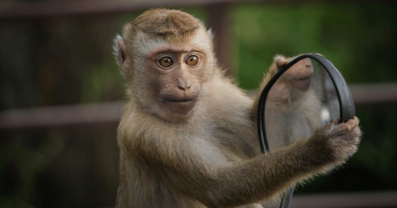 好きっを大切に！「生活はシンプルなんだ編」｜Issei 世界旅人｜note