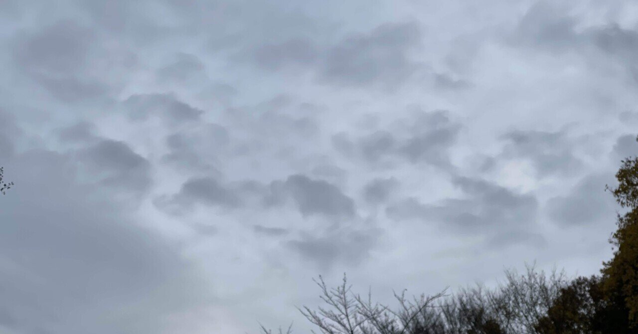 曇り後…｜ros_inu｜note