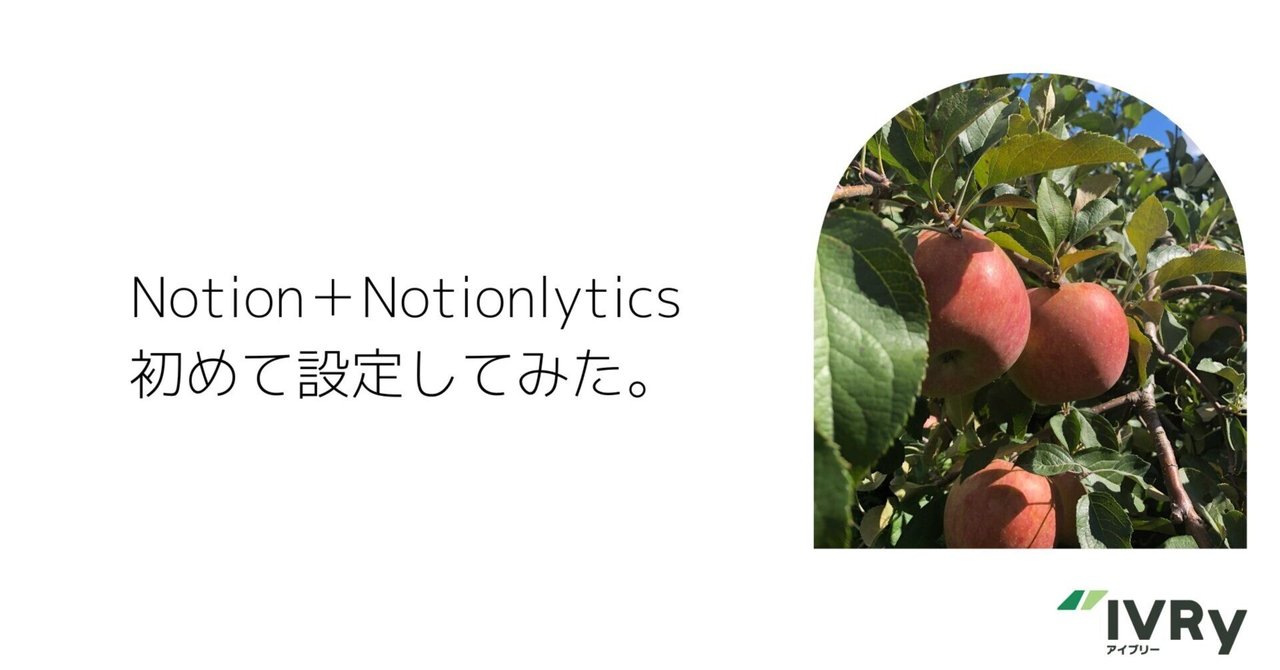 初挑戦！こんな私でもIVRyで働いてます！Notion+Notionlytics設定してみた。｜さいとうさん｜note
