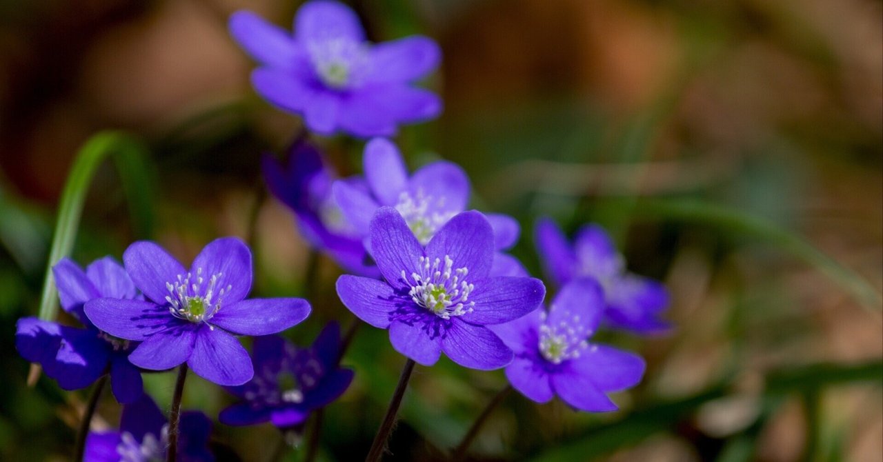 継続セッション 2回めの記録｜miki｜note