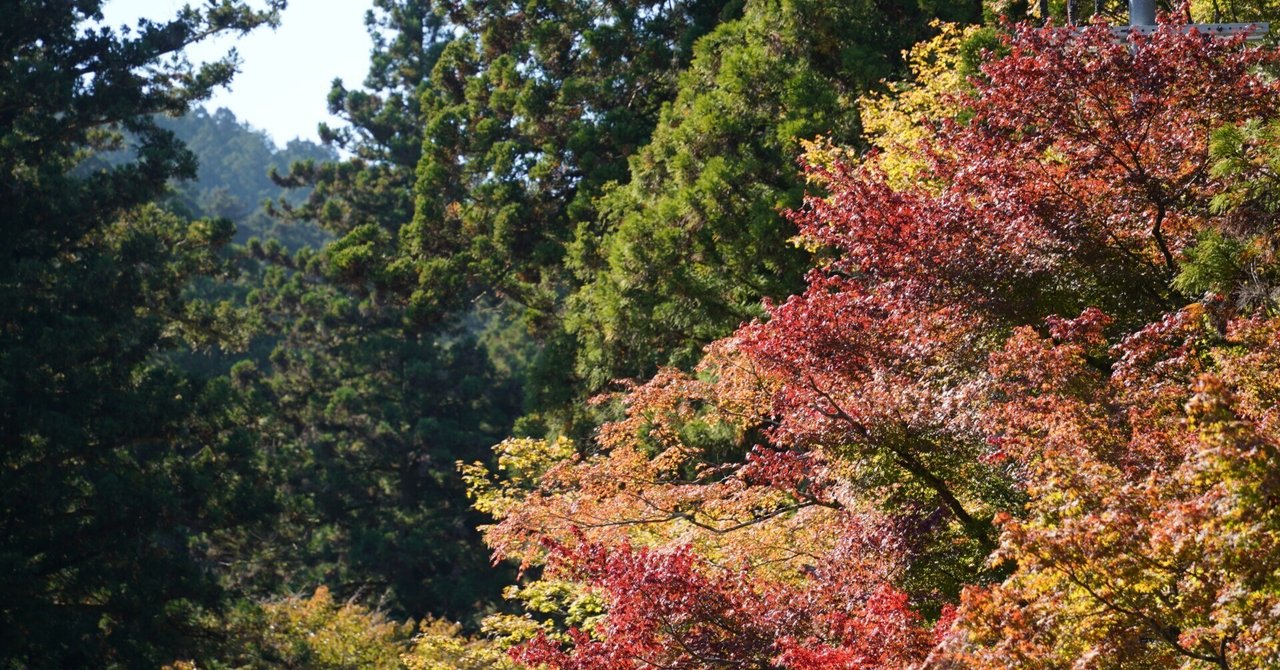 初めまして---自己紹介｜あもだ@C101(土)東パ51a「かまボコちくわ」｜note