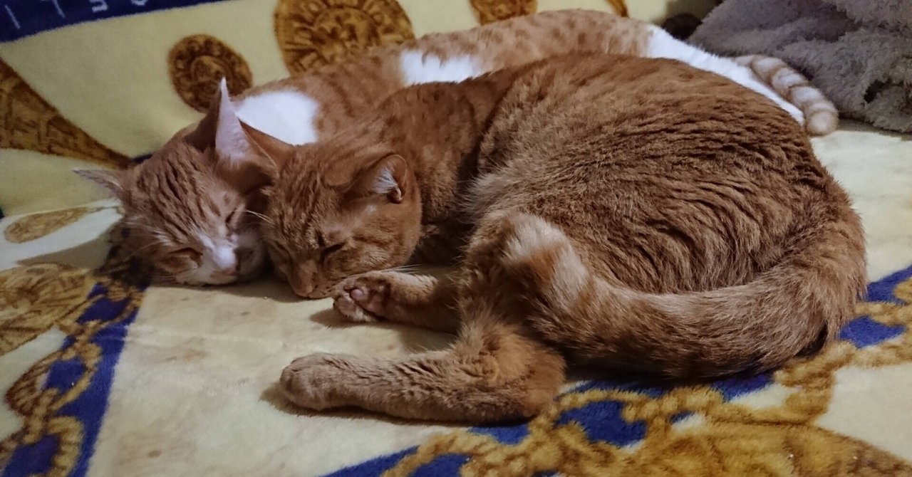 奇跡講座WB実践150 復習139、140｜(Linp&Ruru)本当の自分を知り、本当の自分として生きる