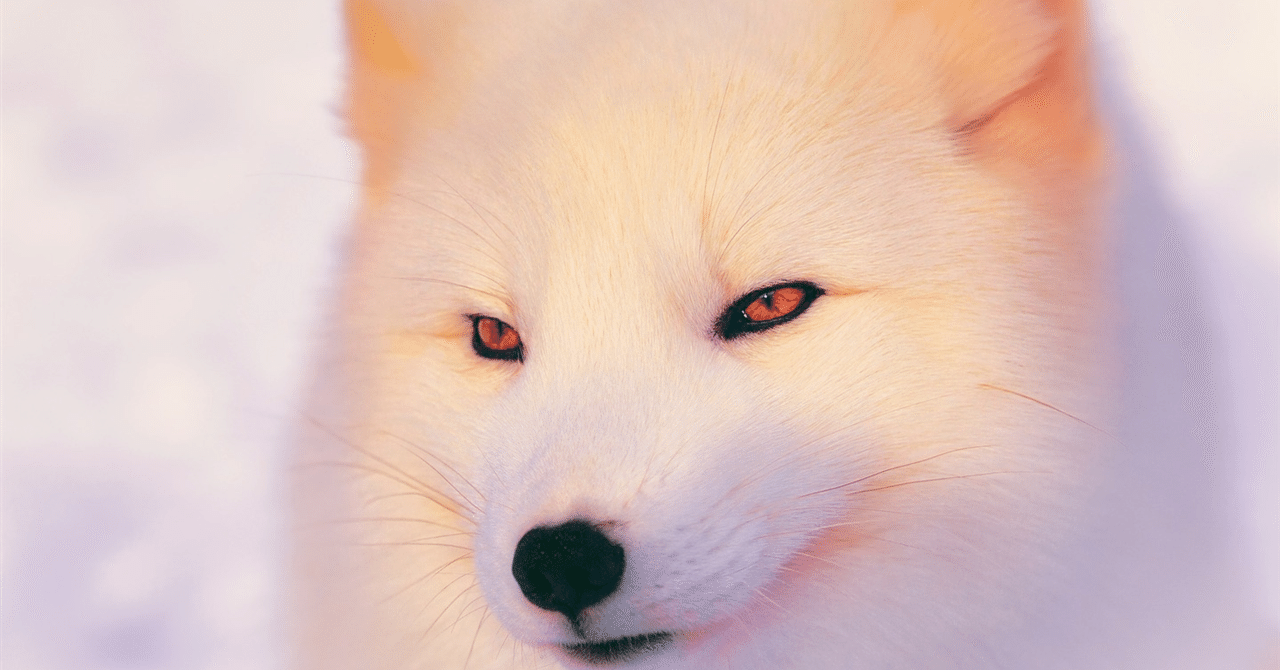 昨日見た夢57 ～ウカノミタマカミ～｜ゆき