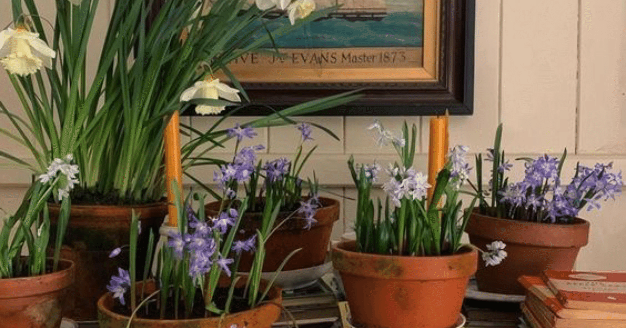 朝プレート｜mieのkitchen｜note